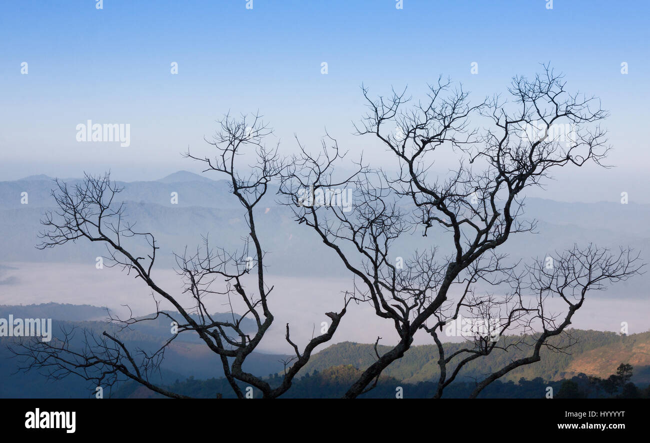 View in morning hi-res stock photography and images - Alamy