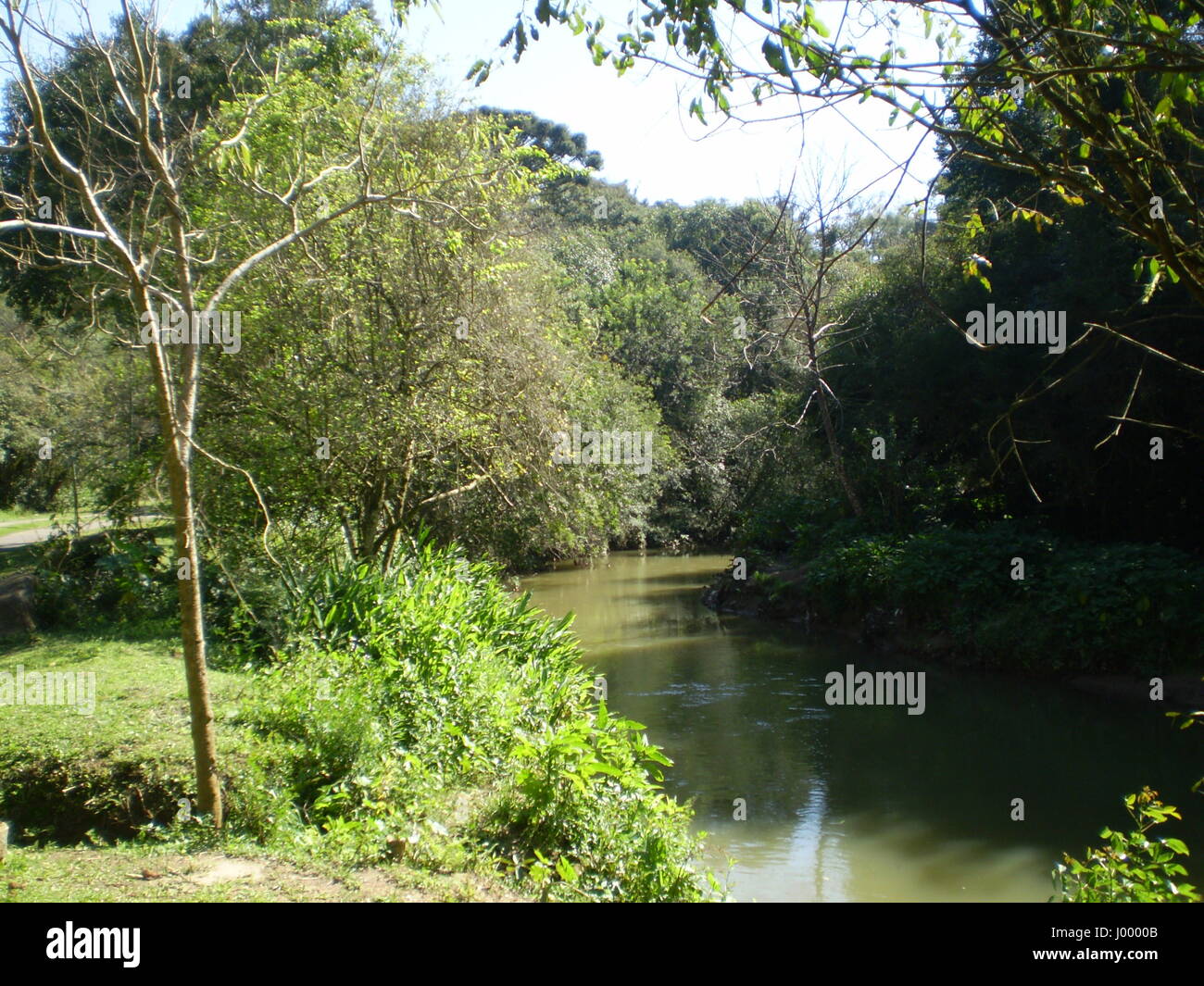 Image from Curitiba, Brazil Stock Photo - Alamy