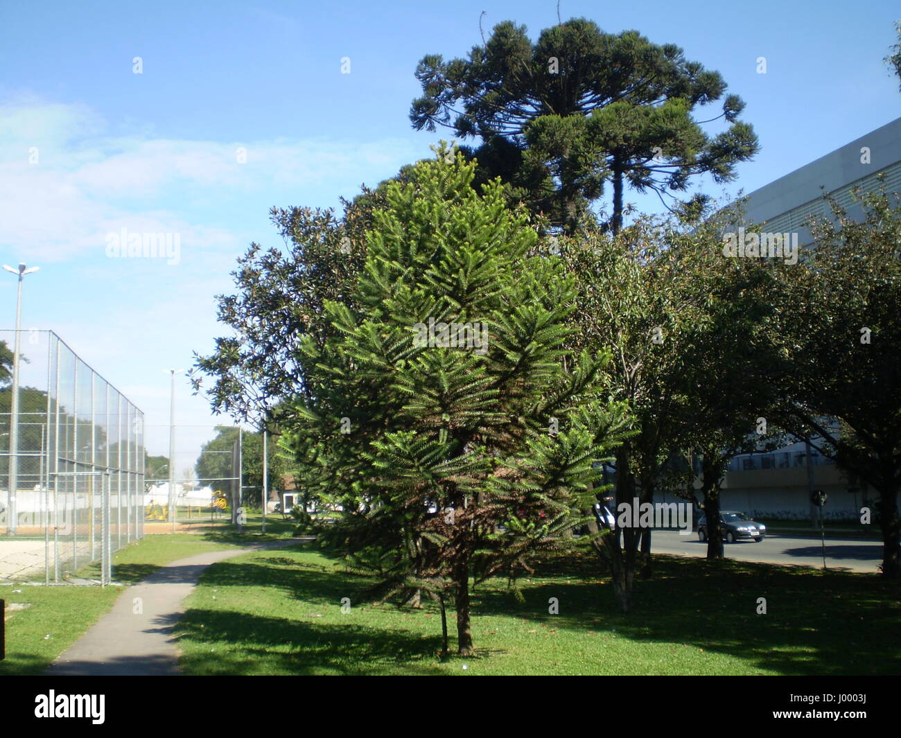 Image from Curitiba, Brazil Stock Photo - Alamy