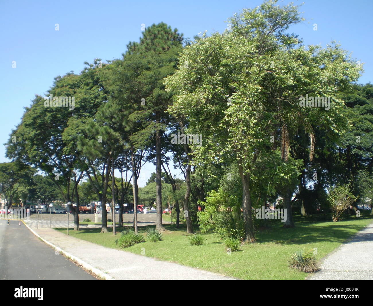 Image from Curitiba, Brazil Stock Photo - Alamy
