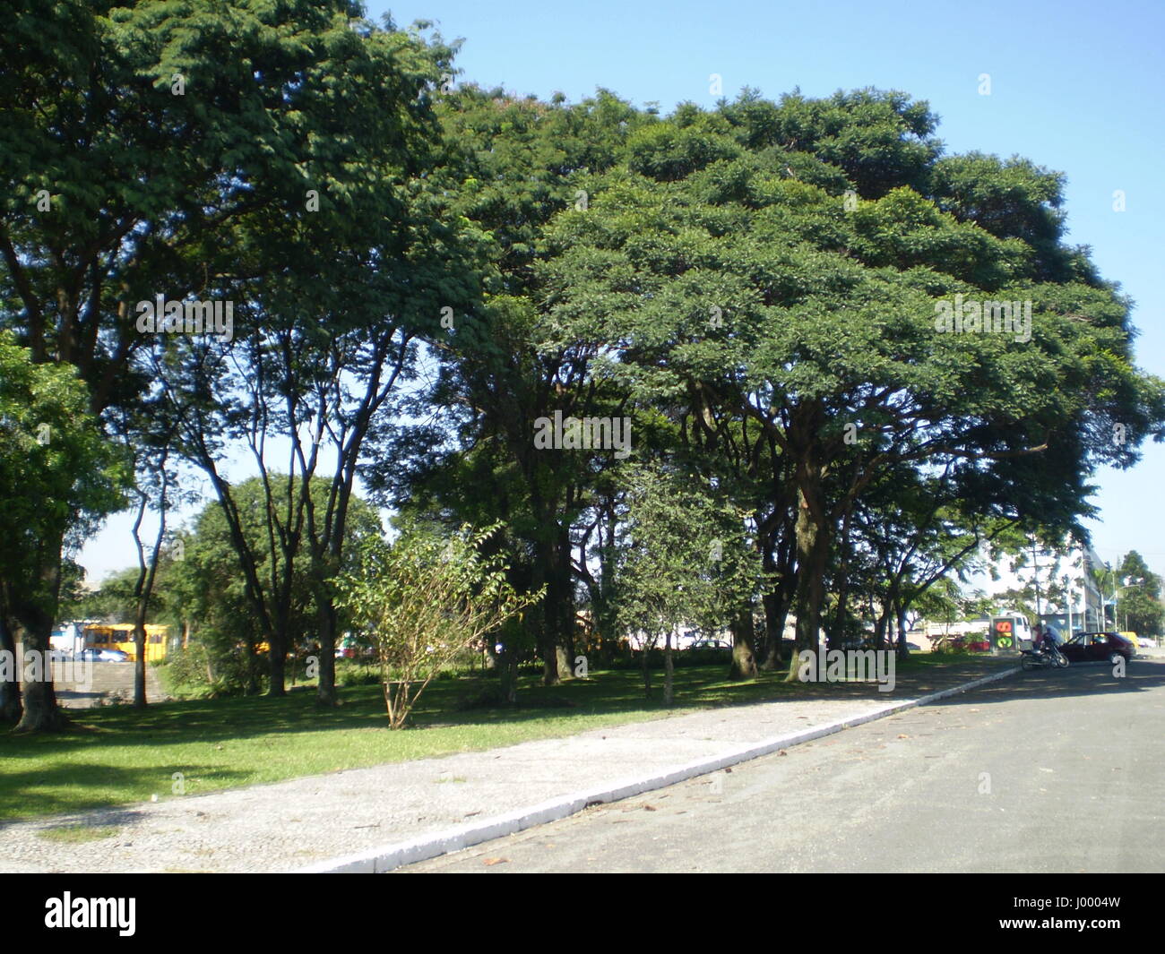 Image from Curitiba, Brazil Stock Photo - Alamy