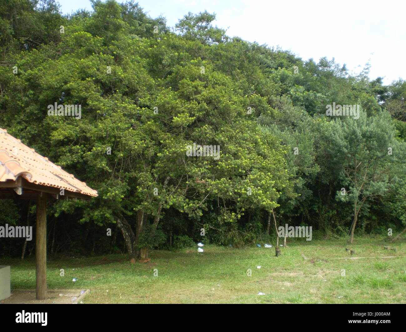 Image from Curitiba, Brazil Stock Photo - Alamy