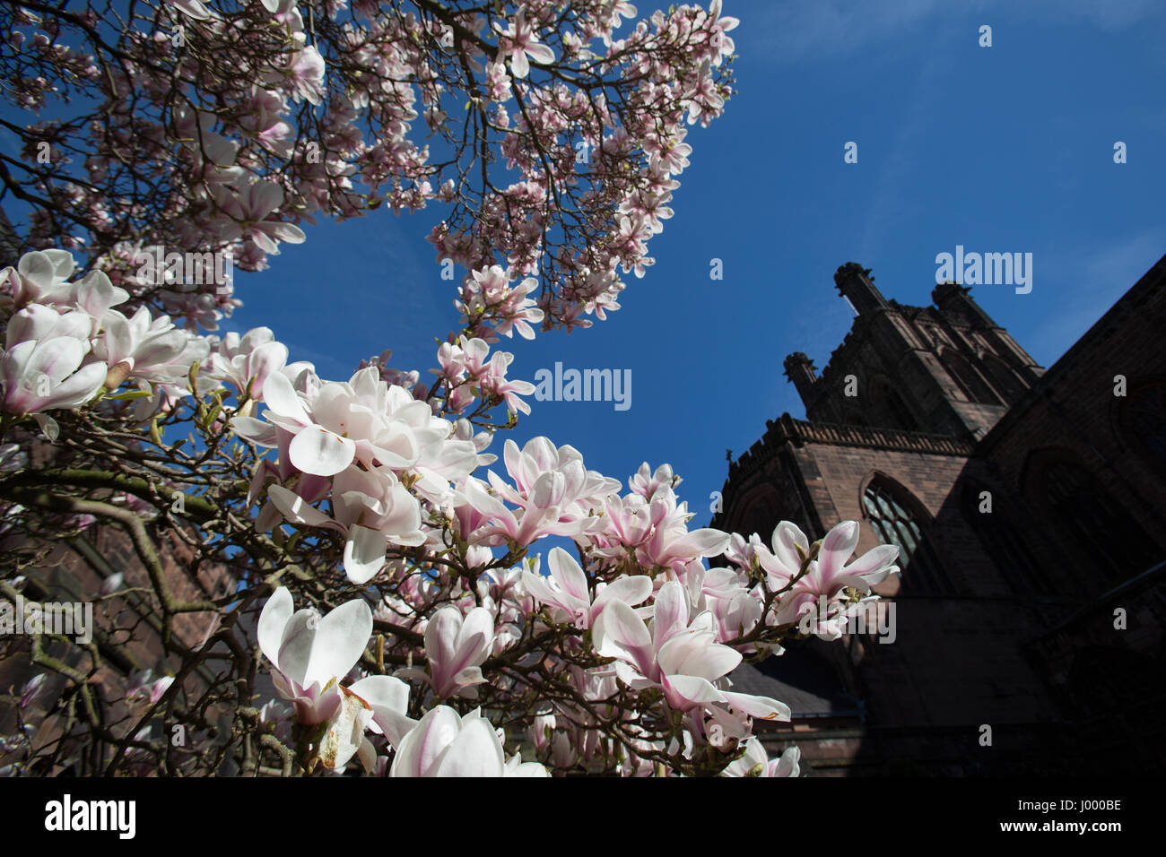 Chester Cathedral Is A Church Of England High Resolution Stock ...