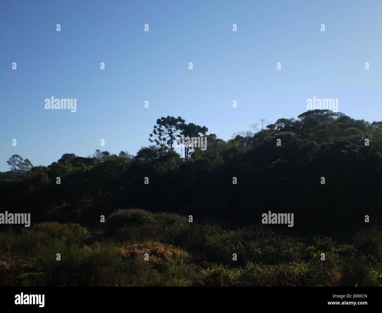Image from Curitiba, Brazil Stock Photo - Alamy