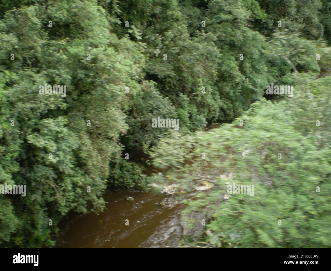 Image from Curitiba, Brazil Stock Photo - Alamy