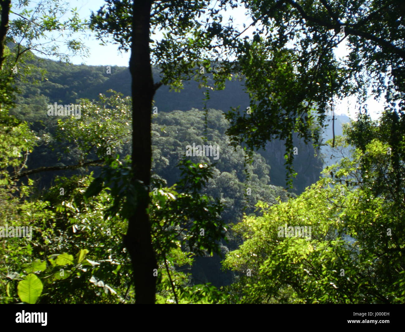 Image from Curitiba, Brazil Stock Photo - Alamy