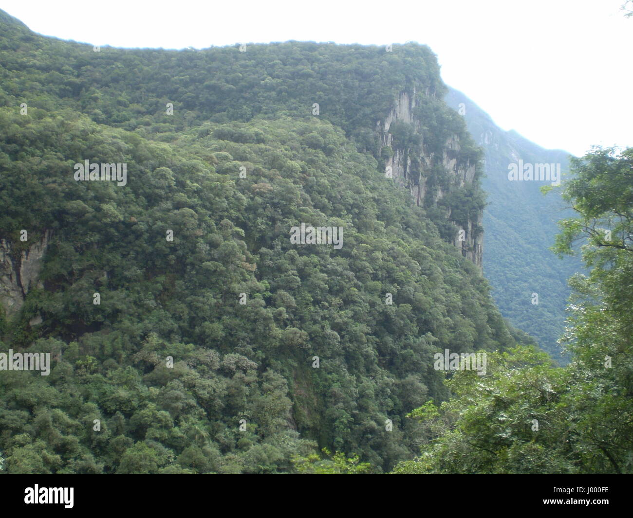 Image from Curitiba, Brazil Stock Photo - Alamy
