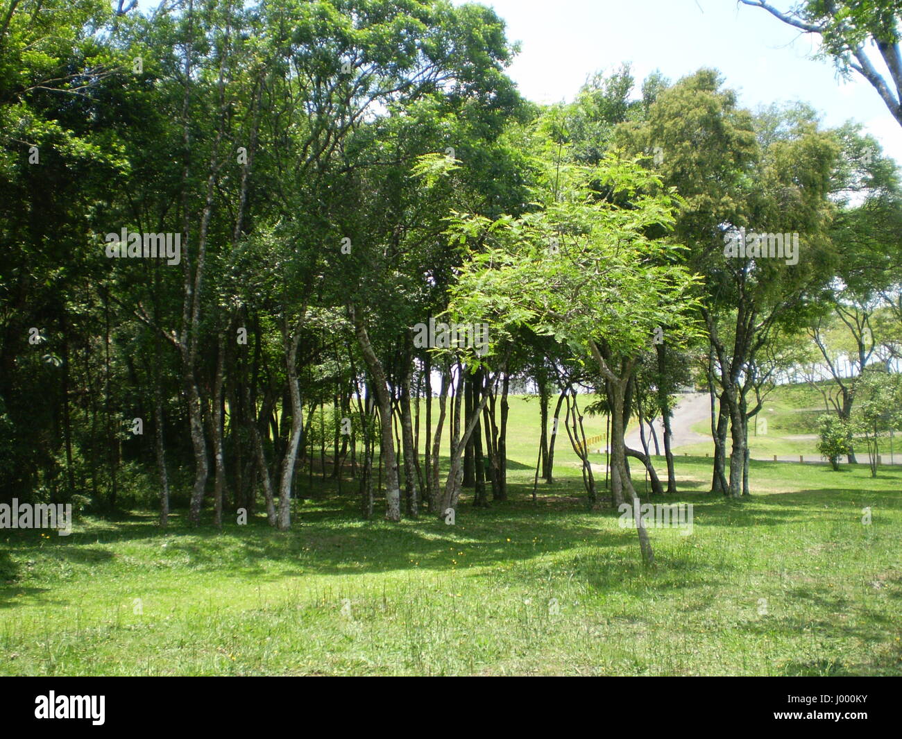 Image from Curitiba, Brazil Stock Photo - Alamy