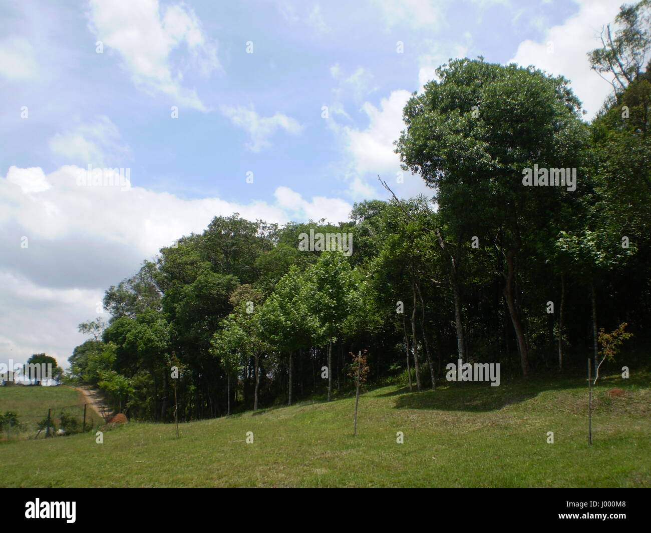 Image from Curitiba, Brazil Stock Photo - Alamy