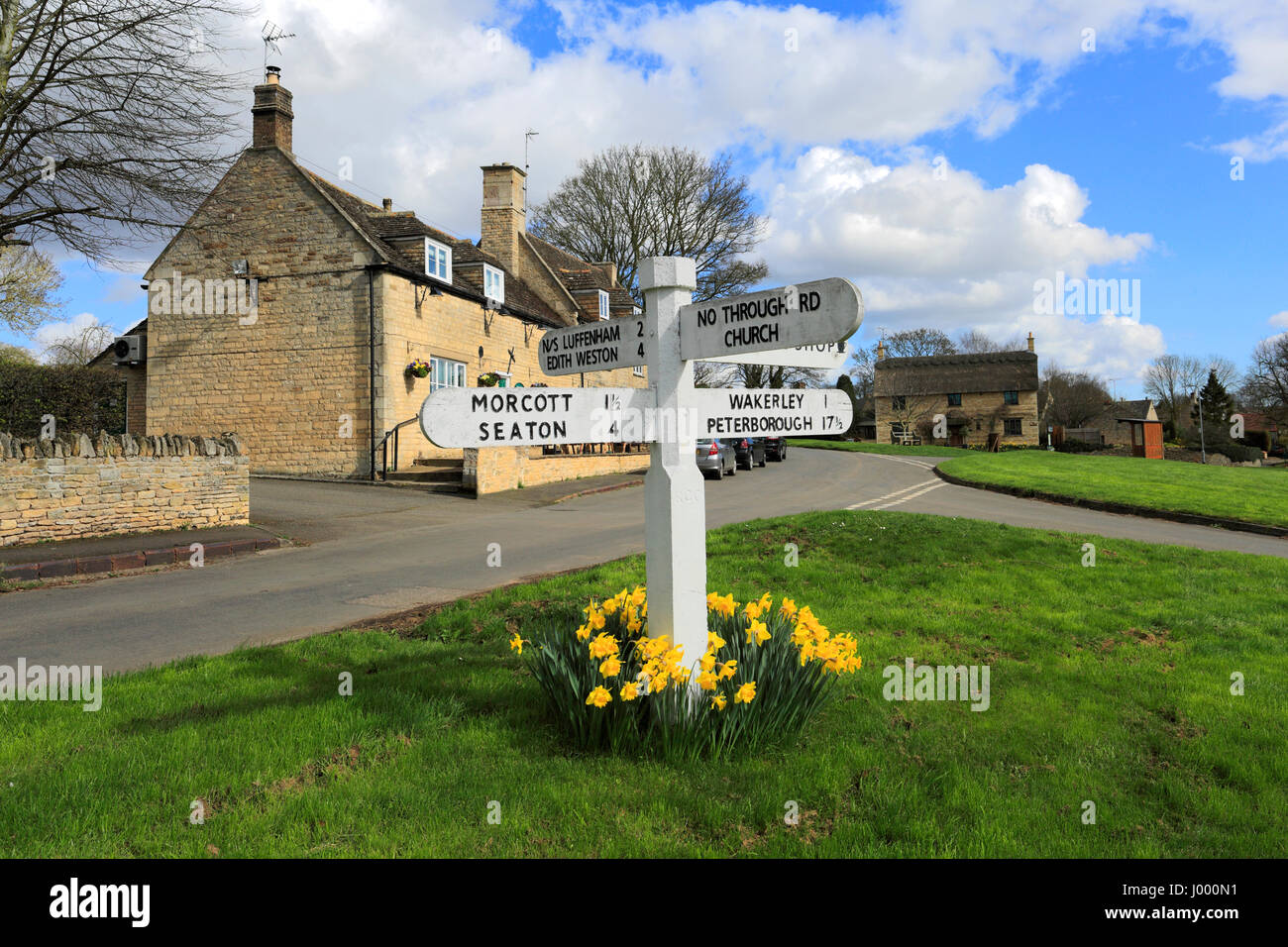 Spring daffodils, the village green at Barrowden village, Rutland ...
