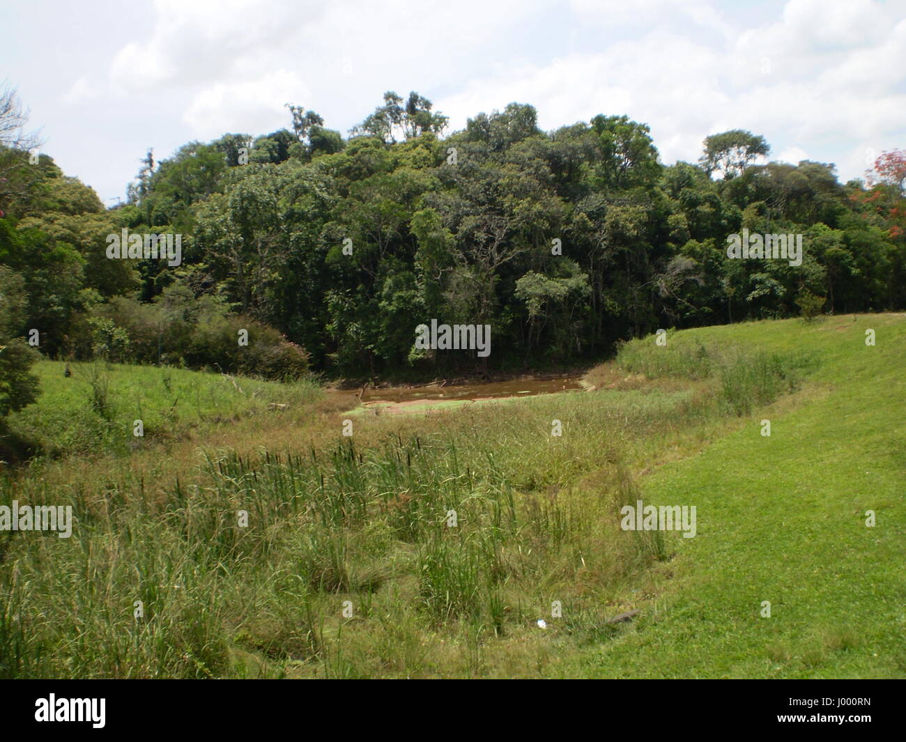 Image from Curitiba, Brazil Stock Photo - Alamy