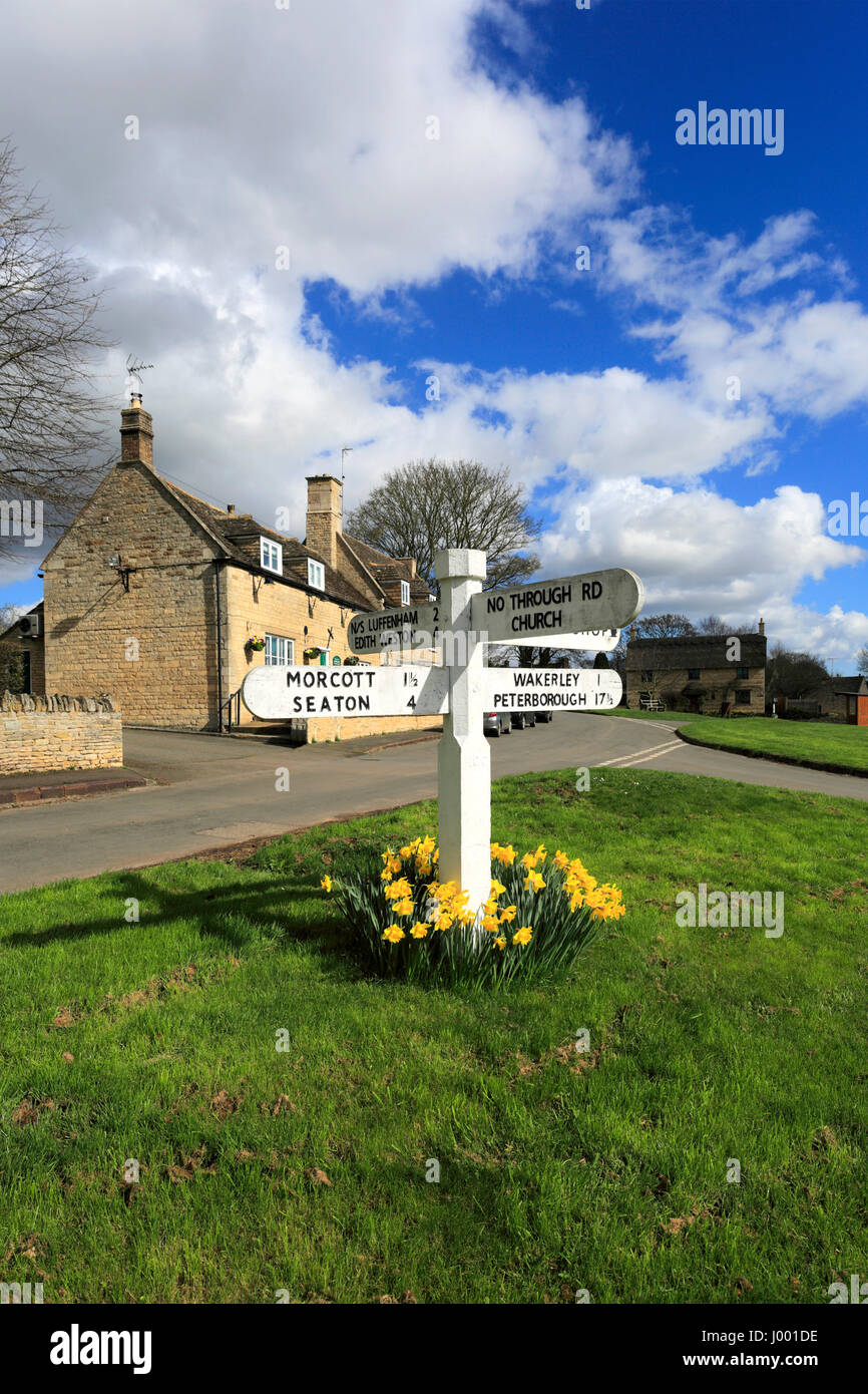 Spring daffodils, the village green at Barrowden village, Rutland ...