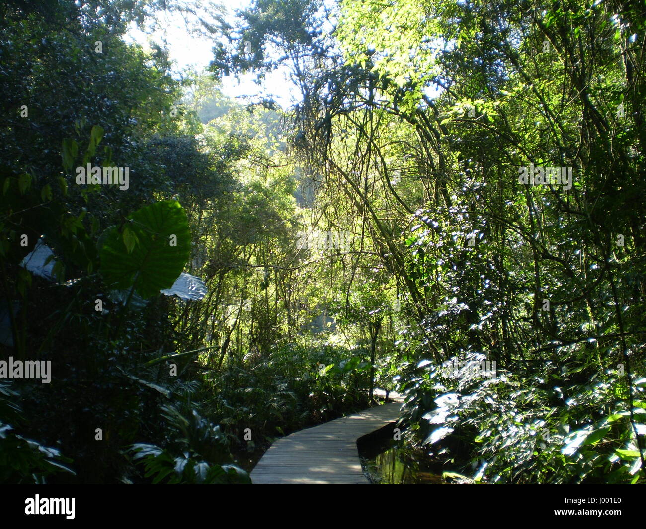 Image from Curitiba, Brazil Stock Photo - Alamy