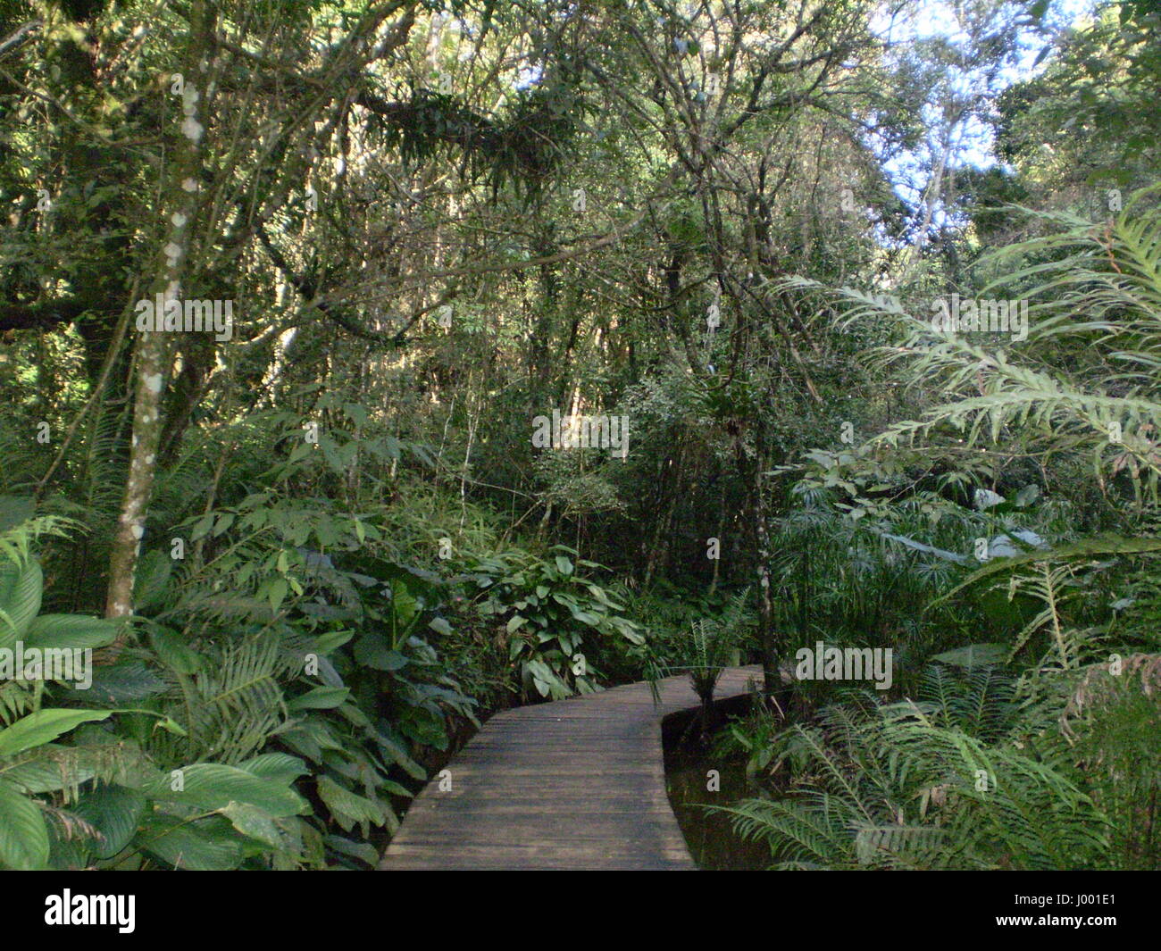 Image from Curitiba, Brazil Stock Photo - Alamy