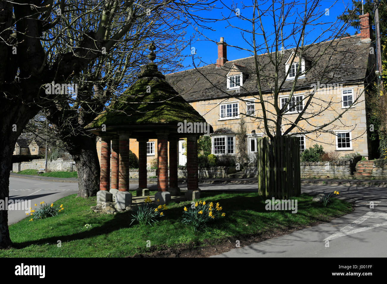 Spring daffodils, The Old Pump, Exton village green, Rutland County ...