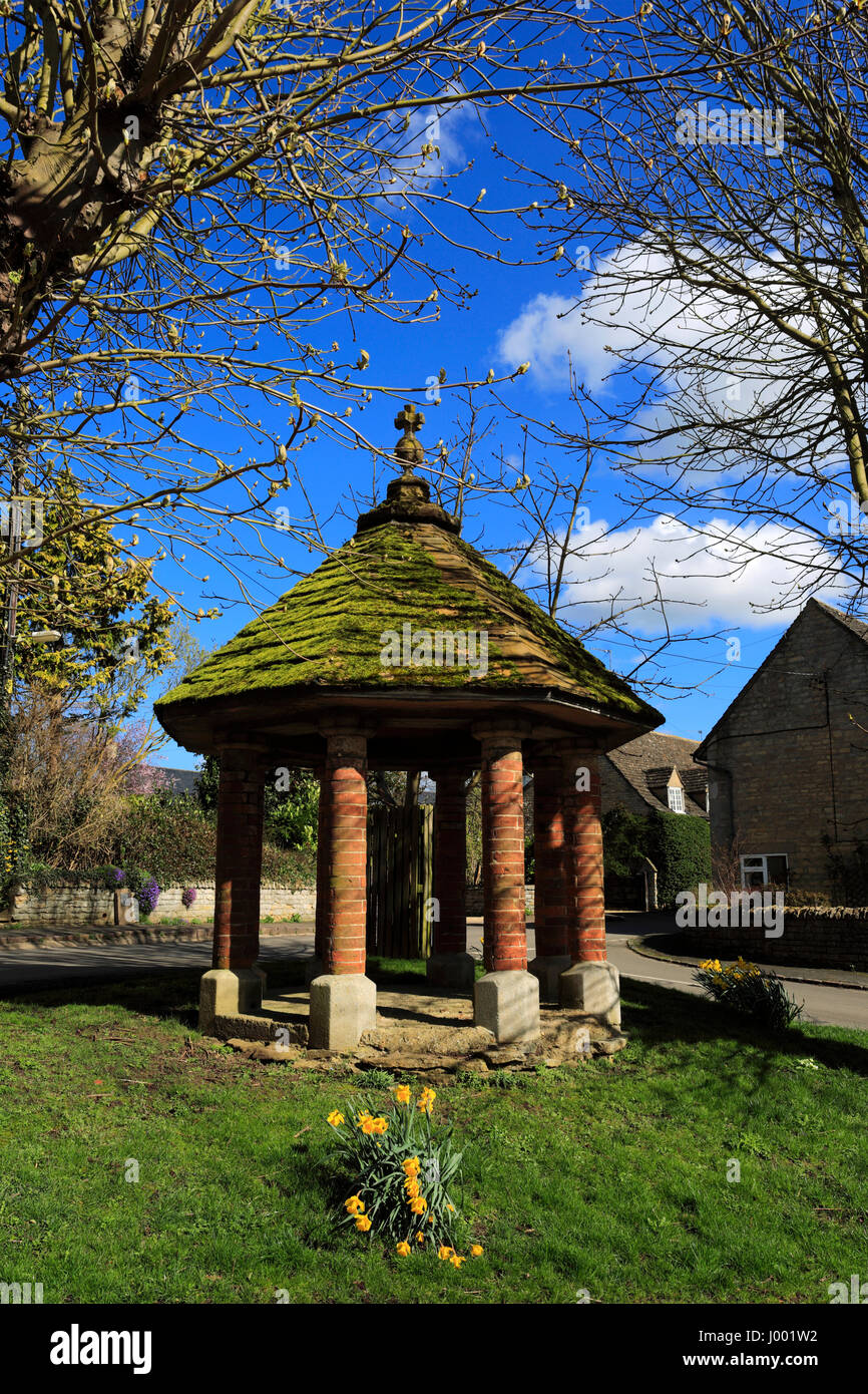 Spring daffodils, The Old Pump, Exton village green, Rutland County ...