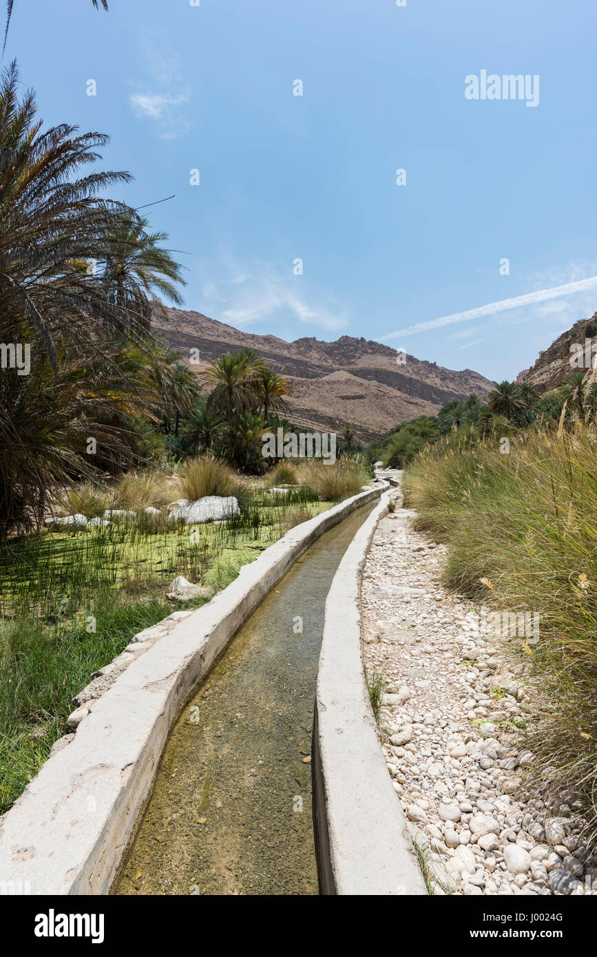 Water canal and green trees hi-res stock photography and images - Alamy