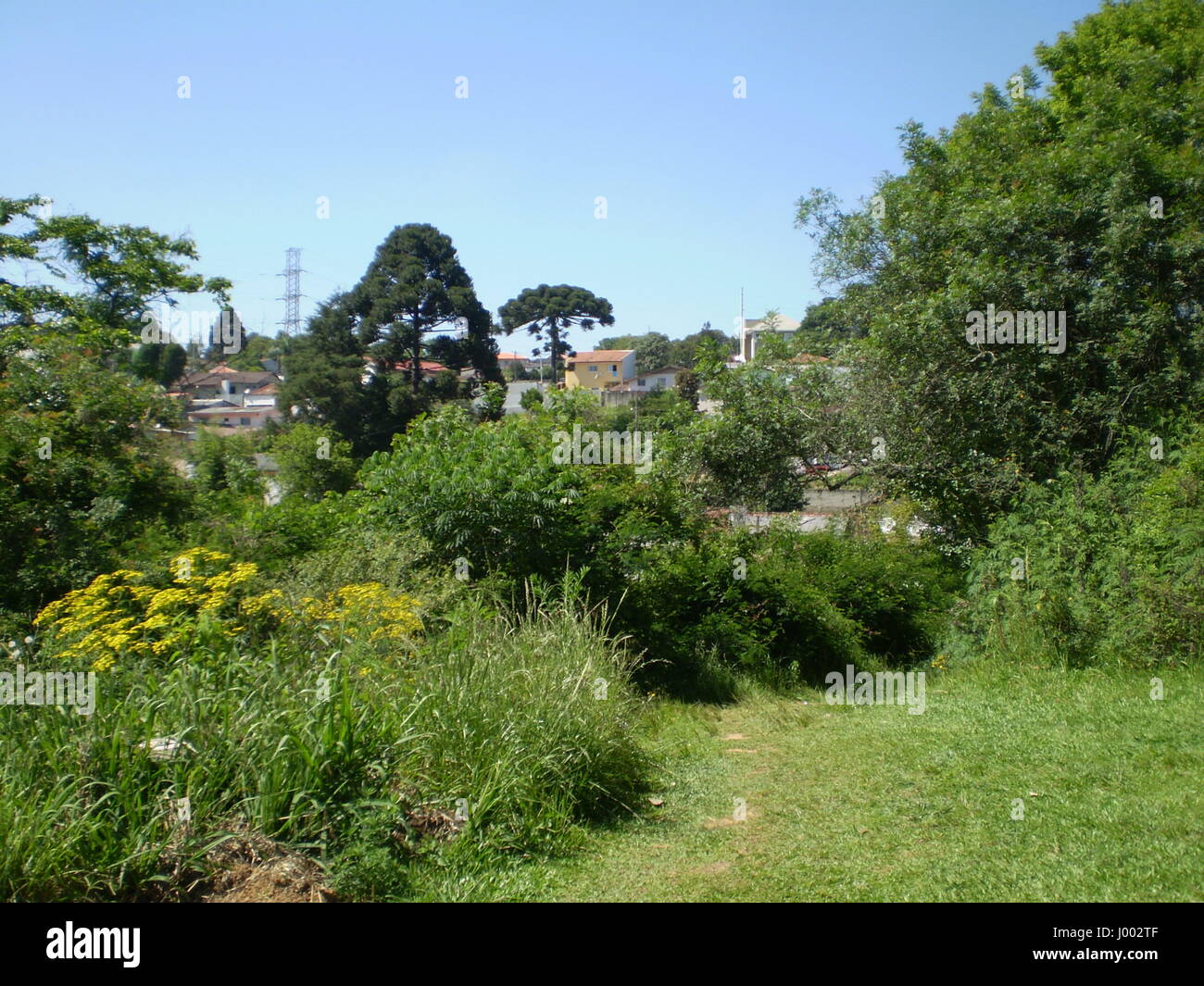 Image from Curitiba, Brazil Stock Photo - Alamy