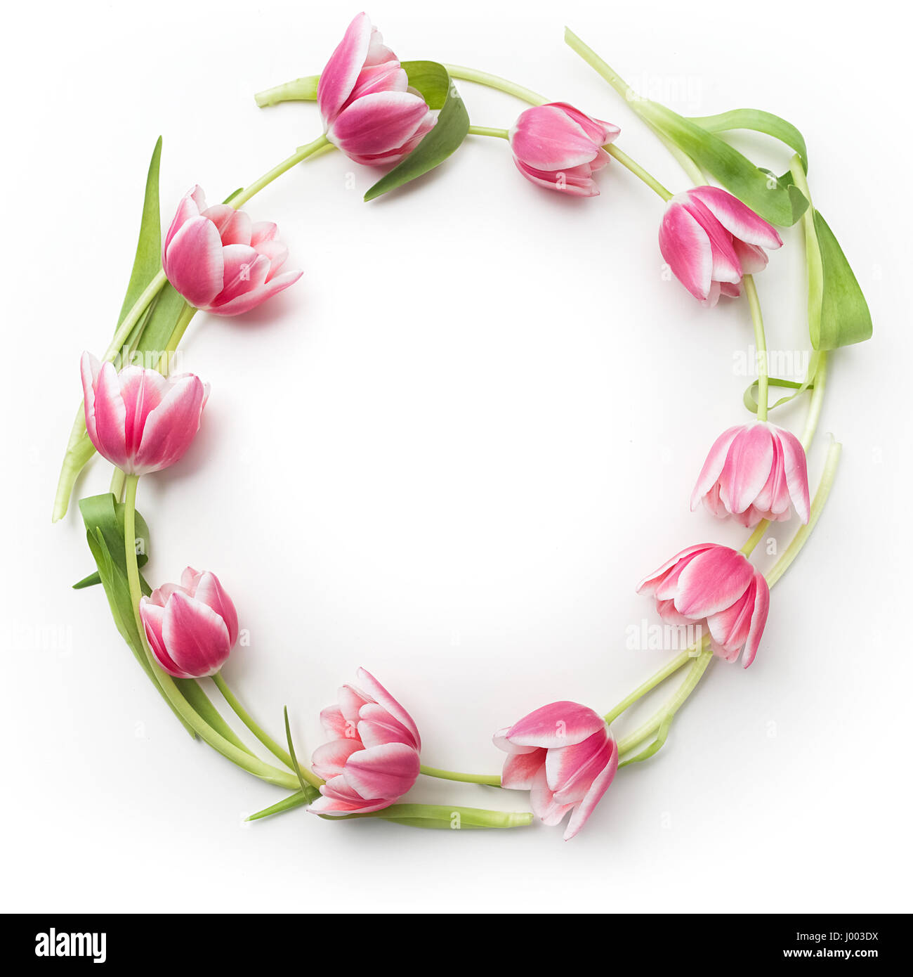 Beautiful flat lay red Cut Out Stock Images & Pictures - Alamy