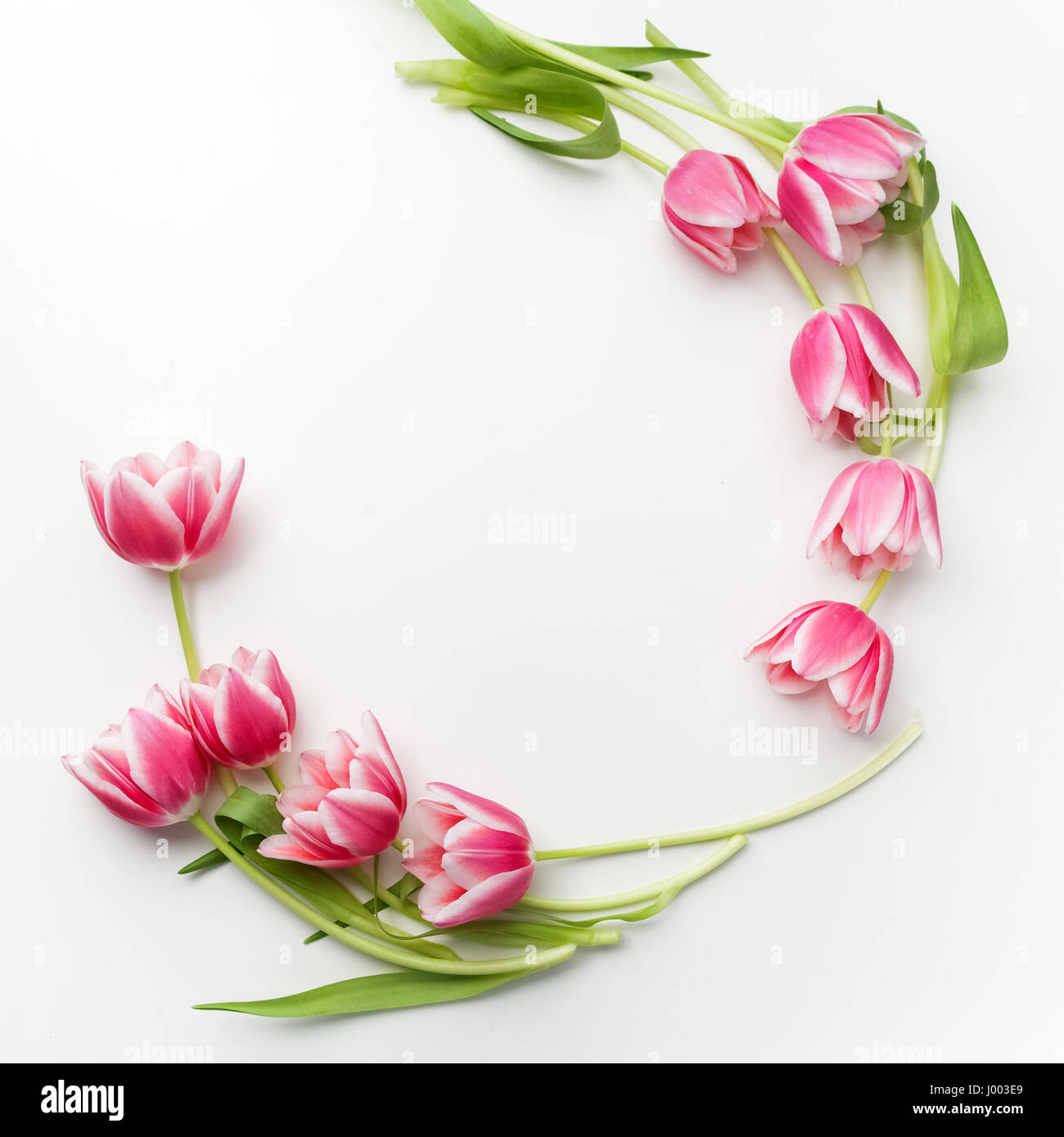 Round frame with tulips flowers. Flat lay. Top view Stock Photo - Alamy
