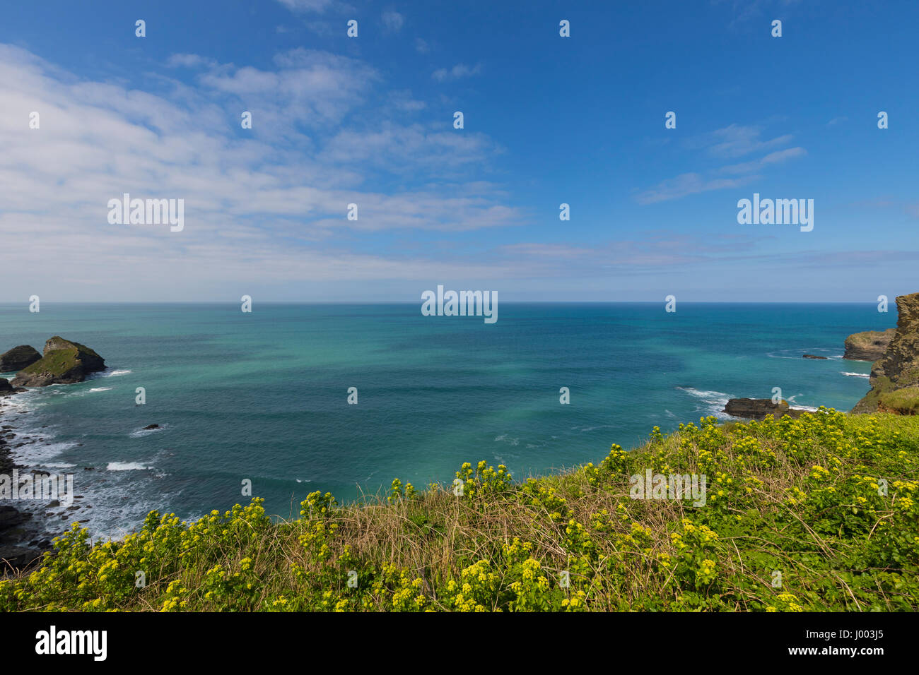 North Cliff, Cornwall, England Stock Photo - Alamy