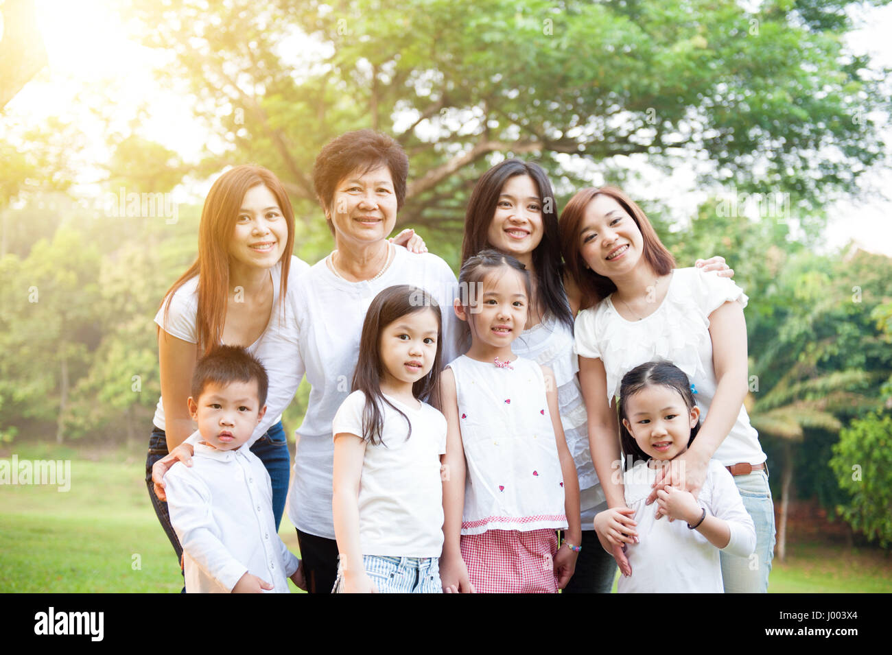 Group of happy Asian multi generations family portrait, grandparent ...