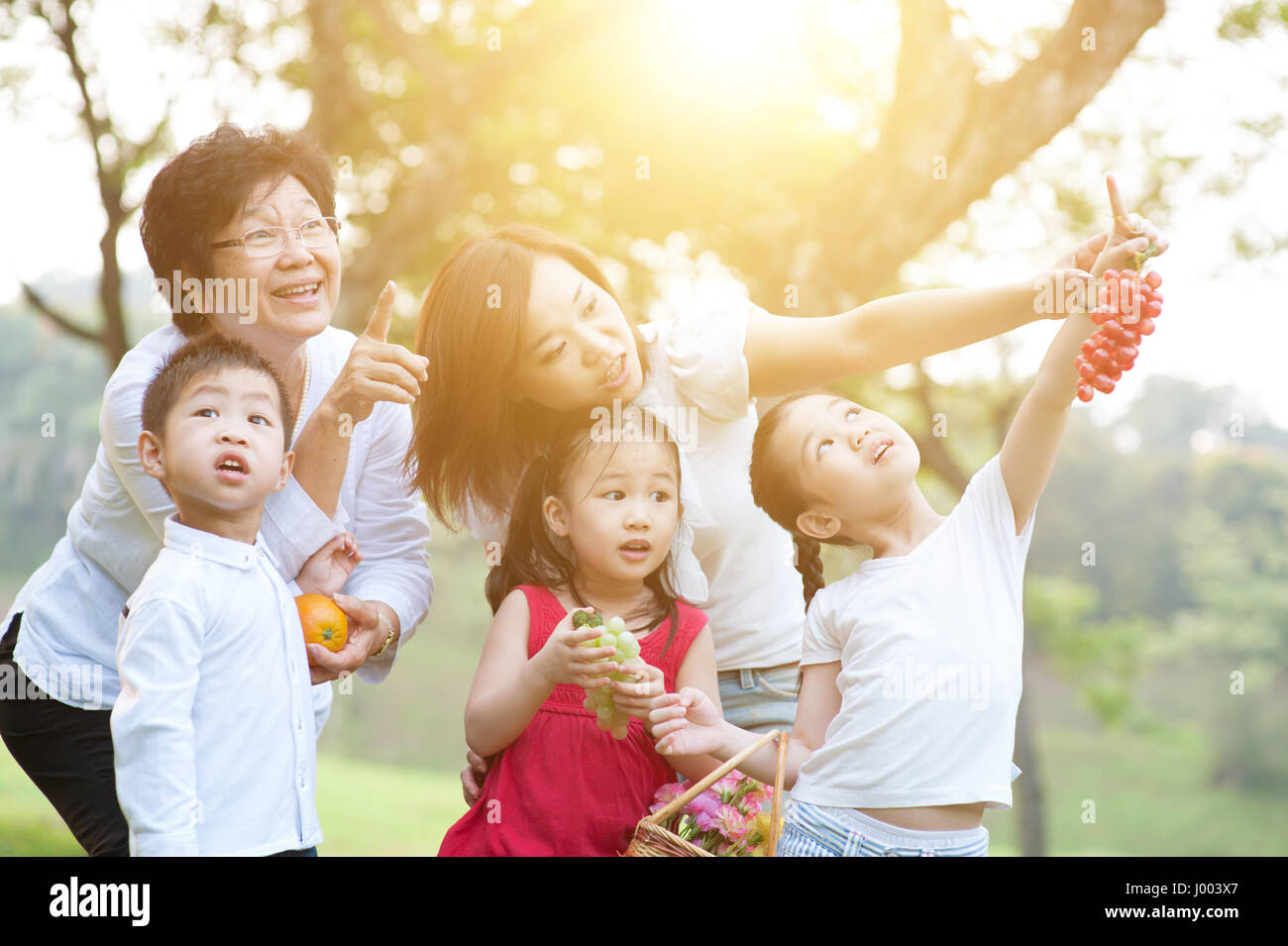 Candid portrait of beautiful multi generations Asian family at nature ...