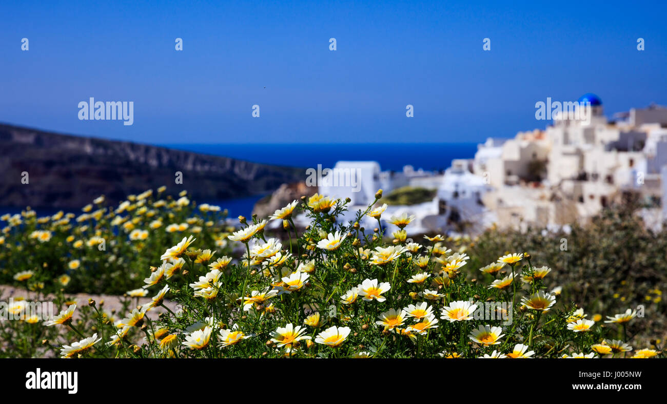 Wildflowers greece greek yellow hi-res stock photography and images - Alamy