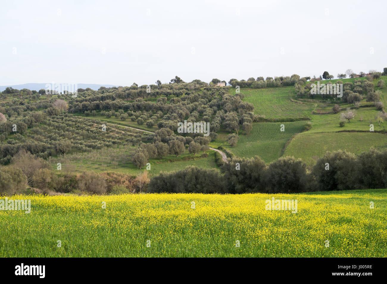Hills and countryside in Calabria region of Italy Stock Photo - Alamy
