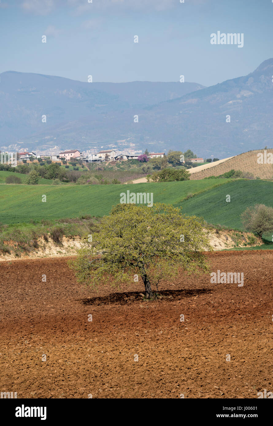 Hills and countryside in Calabria region of Italy Stock Photo - Alamy
