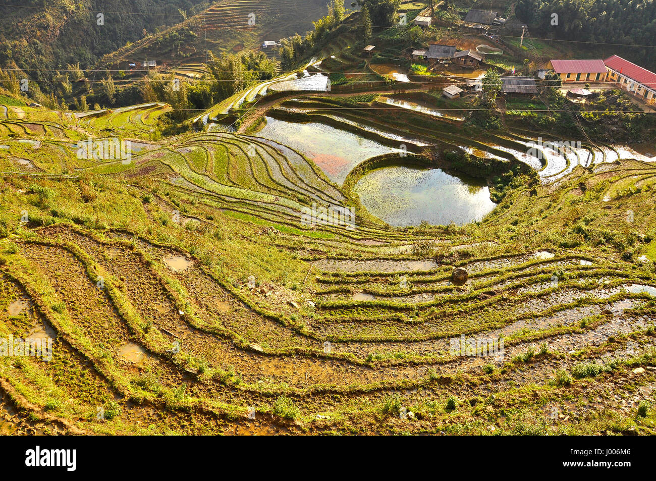 Terraced rice field in Cat Cat, Sa Pa, Northern Vietnam Stock Photo - Alamy