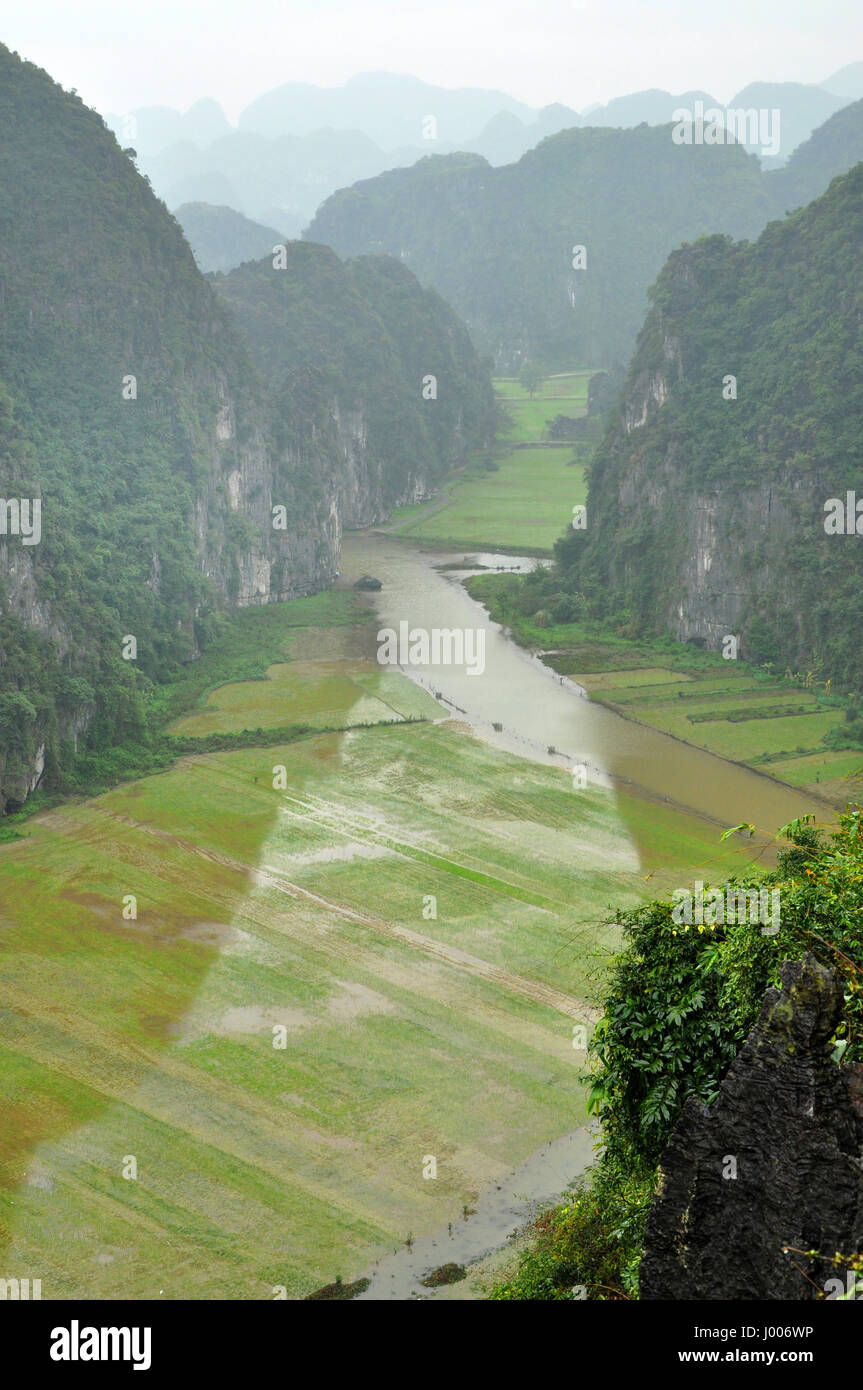 Panorama view of rice fields and limestone rocks from Hang Mua Temple ...