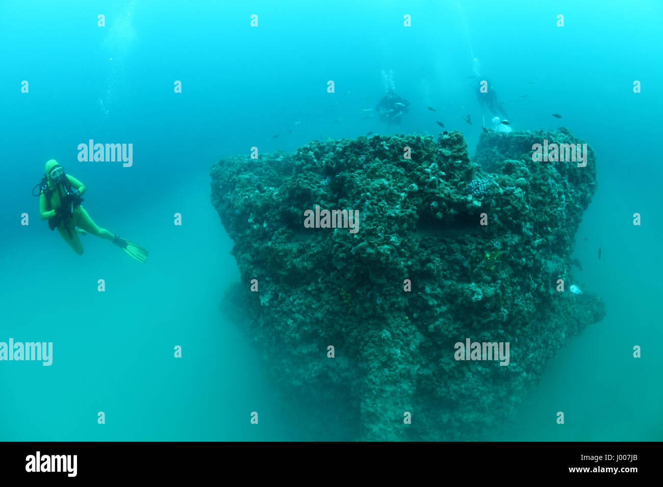 Shipwreck of the Torpedo boat Giuseppe Dezza and scuba divers ...