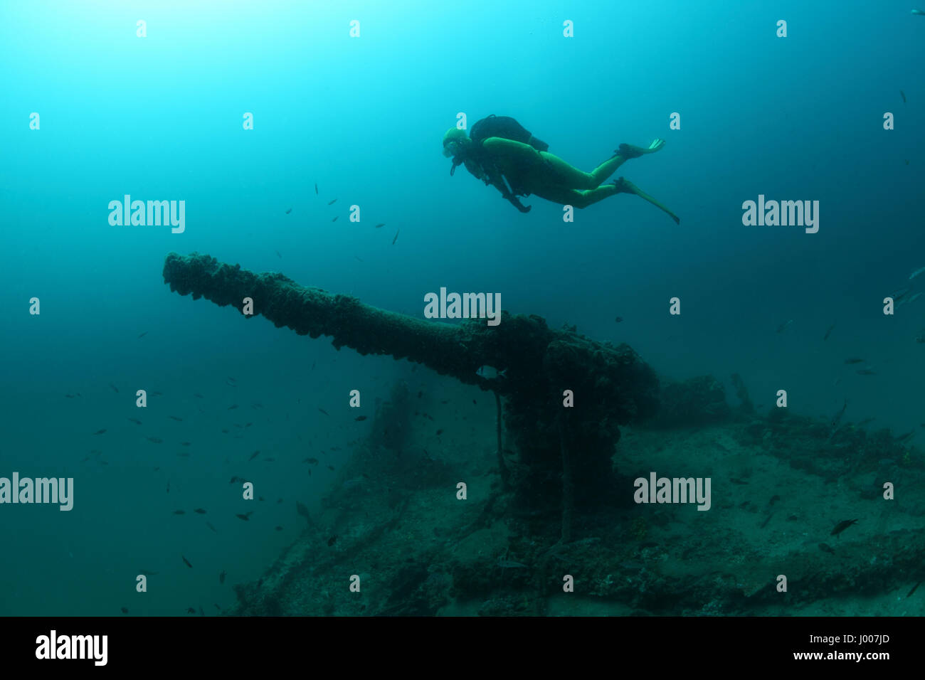 Shipwreck of the Torpedo boat Giuseppe Dezza and scuba divers ...