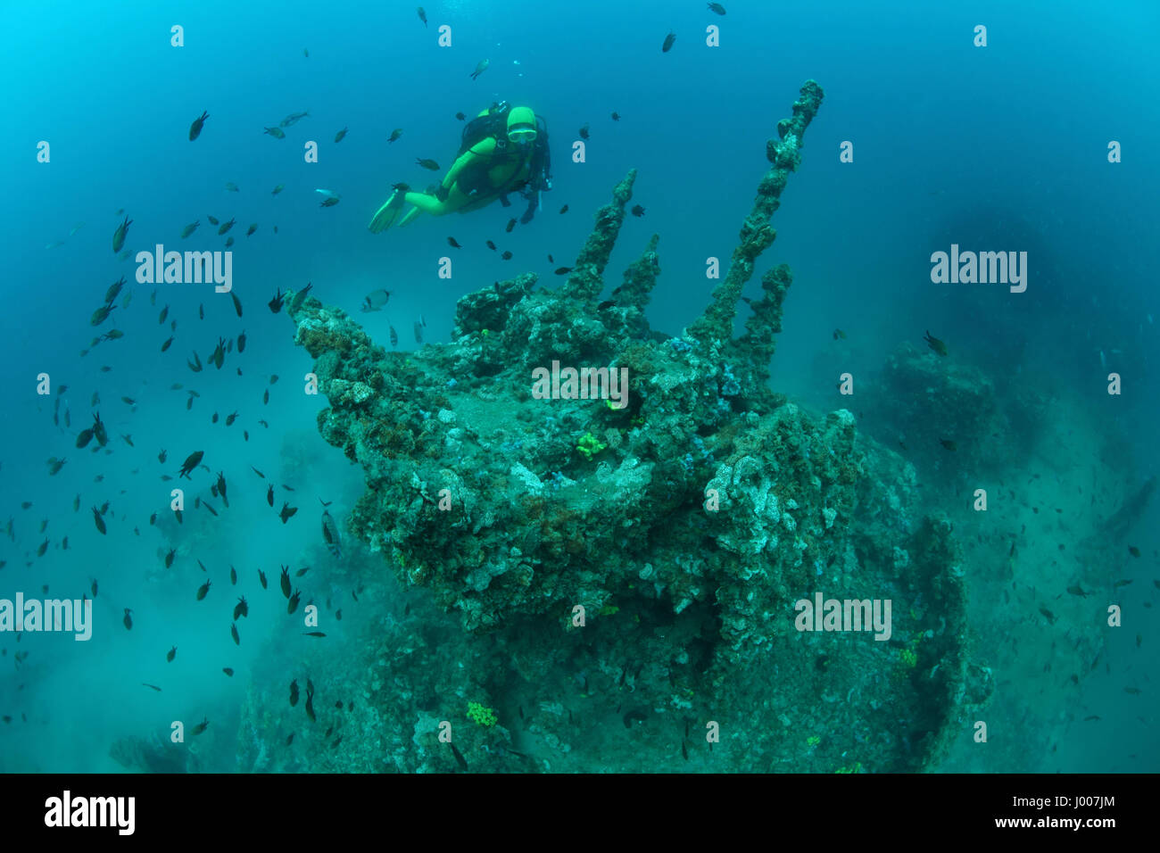 Shipwreck of the Torpedo boat Giuseppe Dezza and scuba divers ...