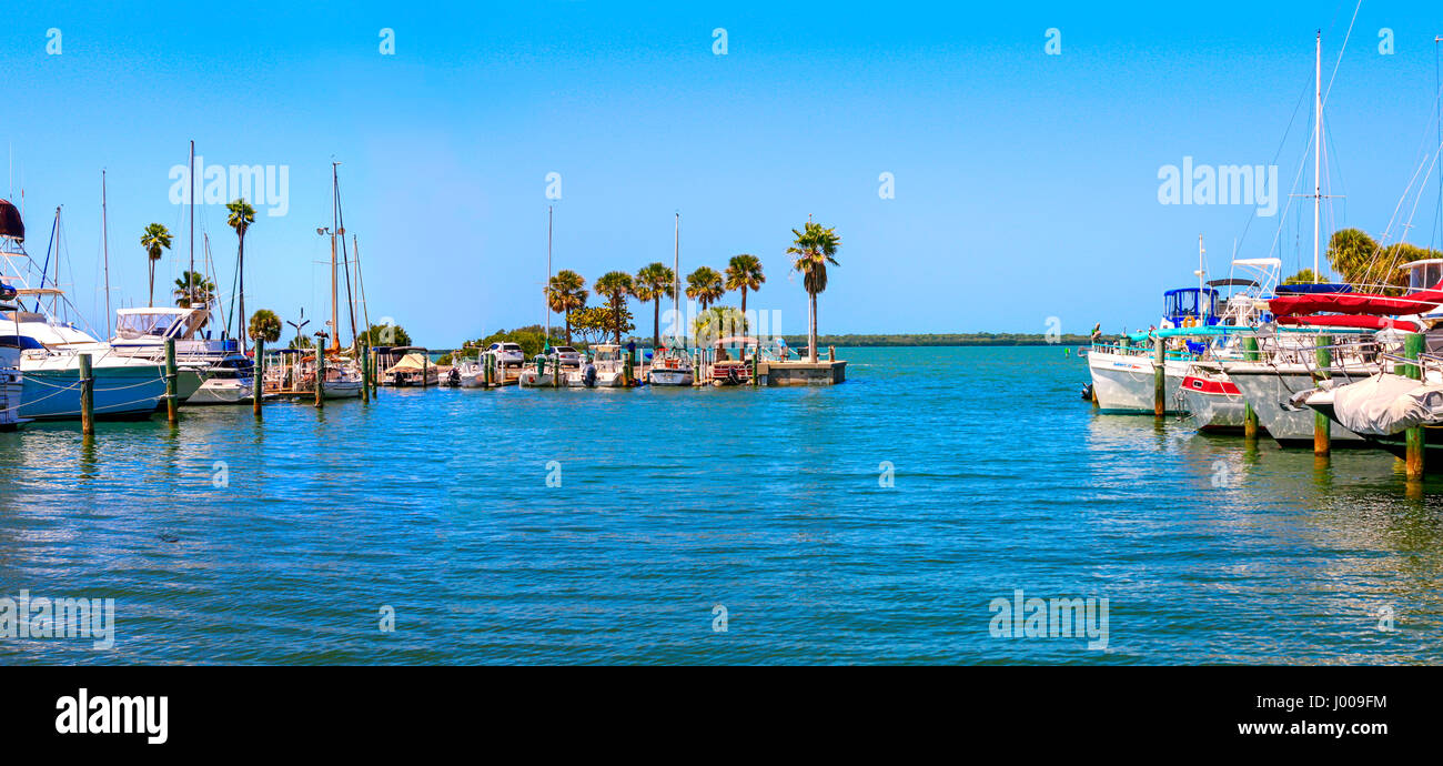 Dunedin panorama hi-res stock photography and images - Alamy