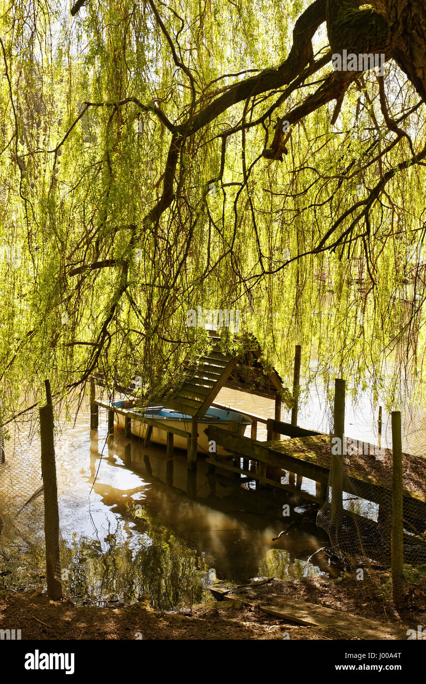 Rustic wooden bridge, boat and tree Stock Photo - Alamy