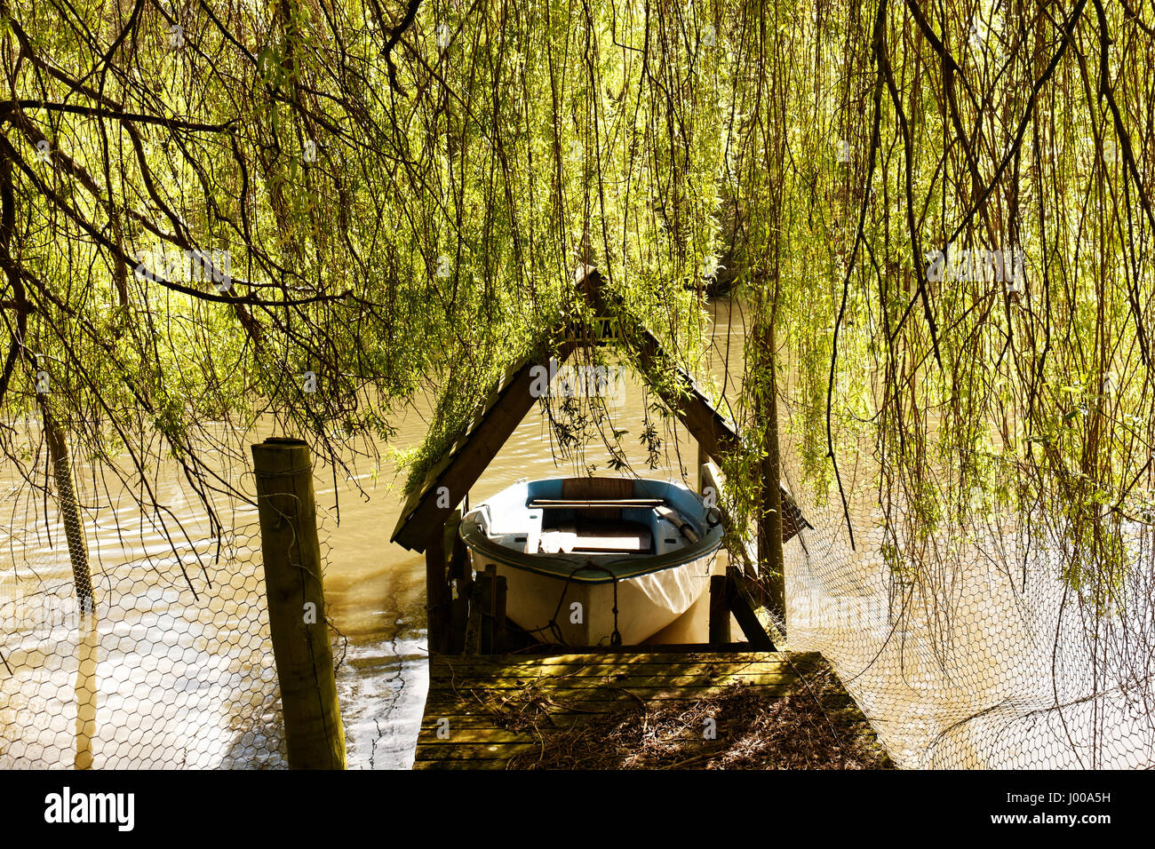Rustic wooden bridge, boat and tree Stock Photo - Alamy