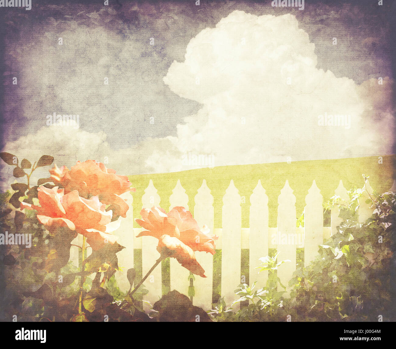 Spring vintage background with roses and white picket fence in front of ...