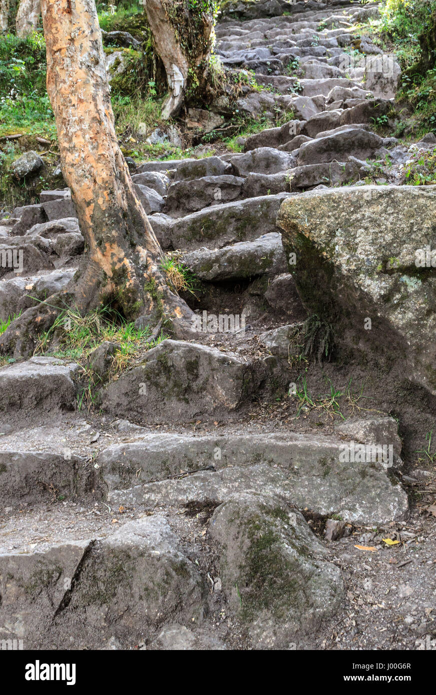 Inca stairs hi-res stock photography and images - Alamy