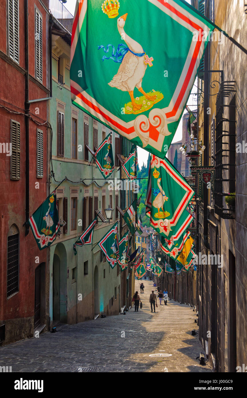 Contrada dell'Oca flags with a crowned goose wearing a blue ribbon ...