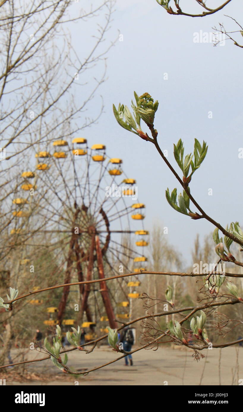 Chernobyl, Ukarine. 5th Apr, 2017. Tree sprouts are seen in Chernobyl ...