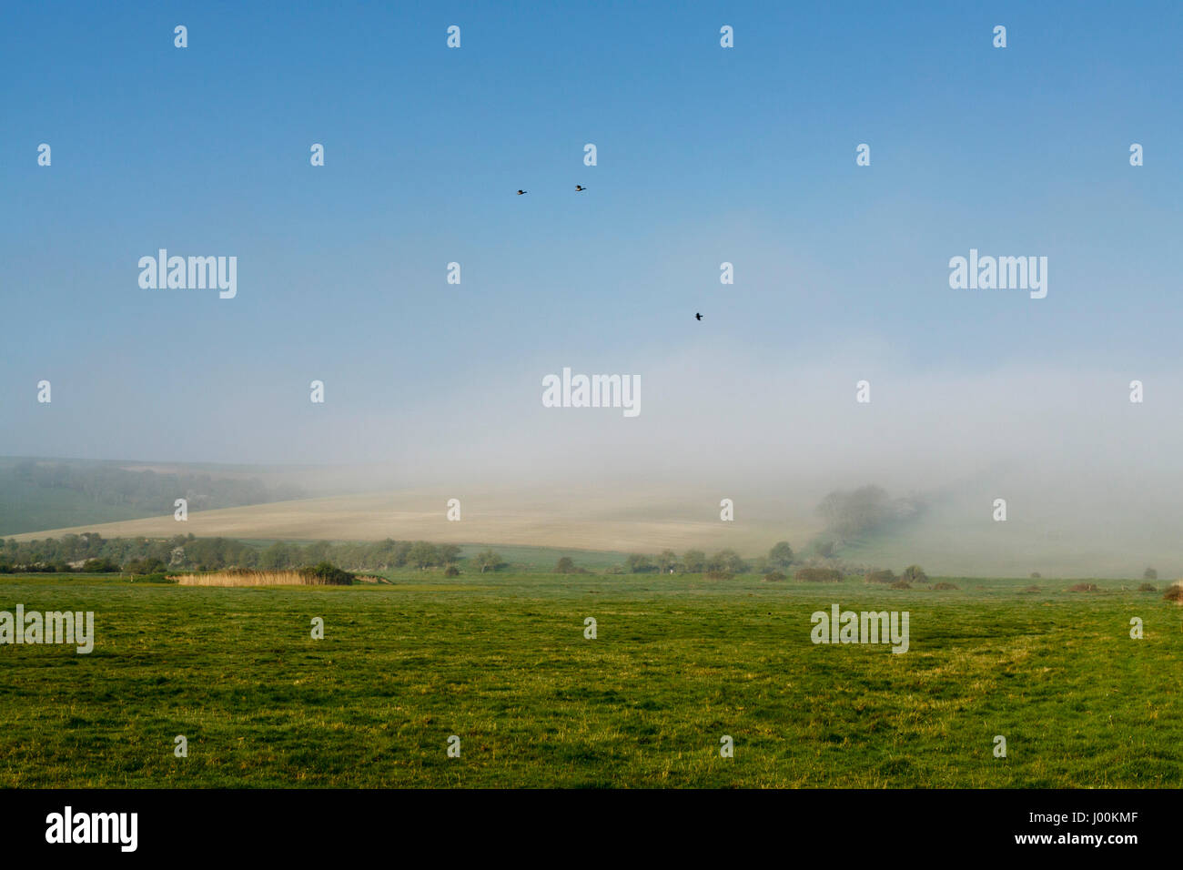 Litlington, UK. 8th Apr, 2017. UK weather. Fog shrouds the tops of ...