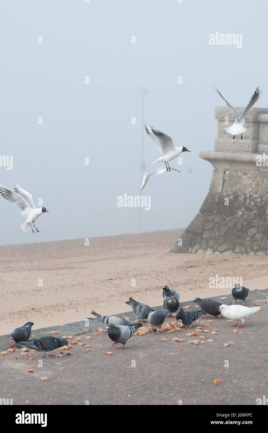 Southend-on-Sea, Essex, UK. 8th April 2017. UK Weather: Heavy Fog ...