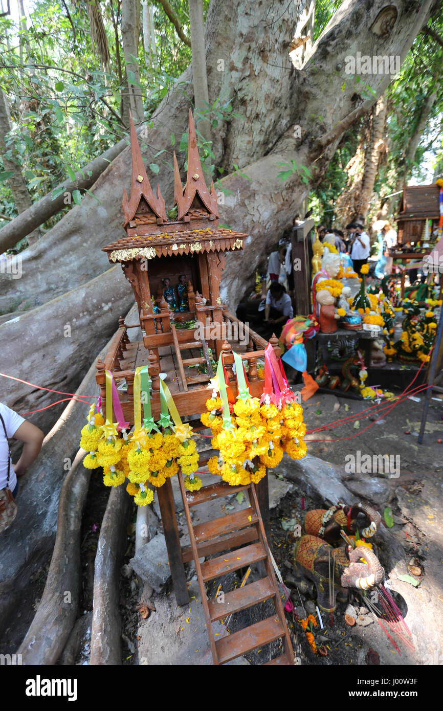 A small well of water is at the base of the tree behind the shrine ...