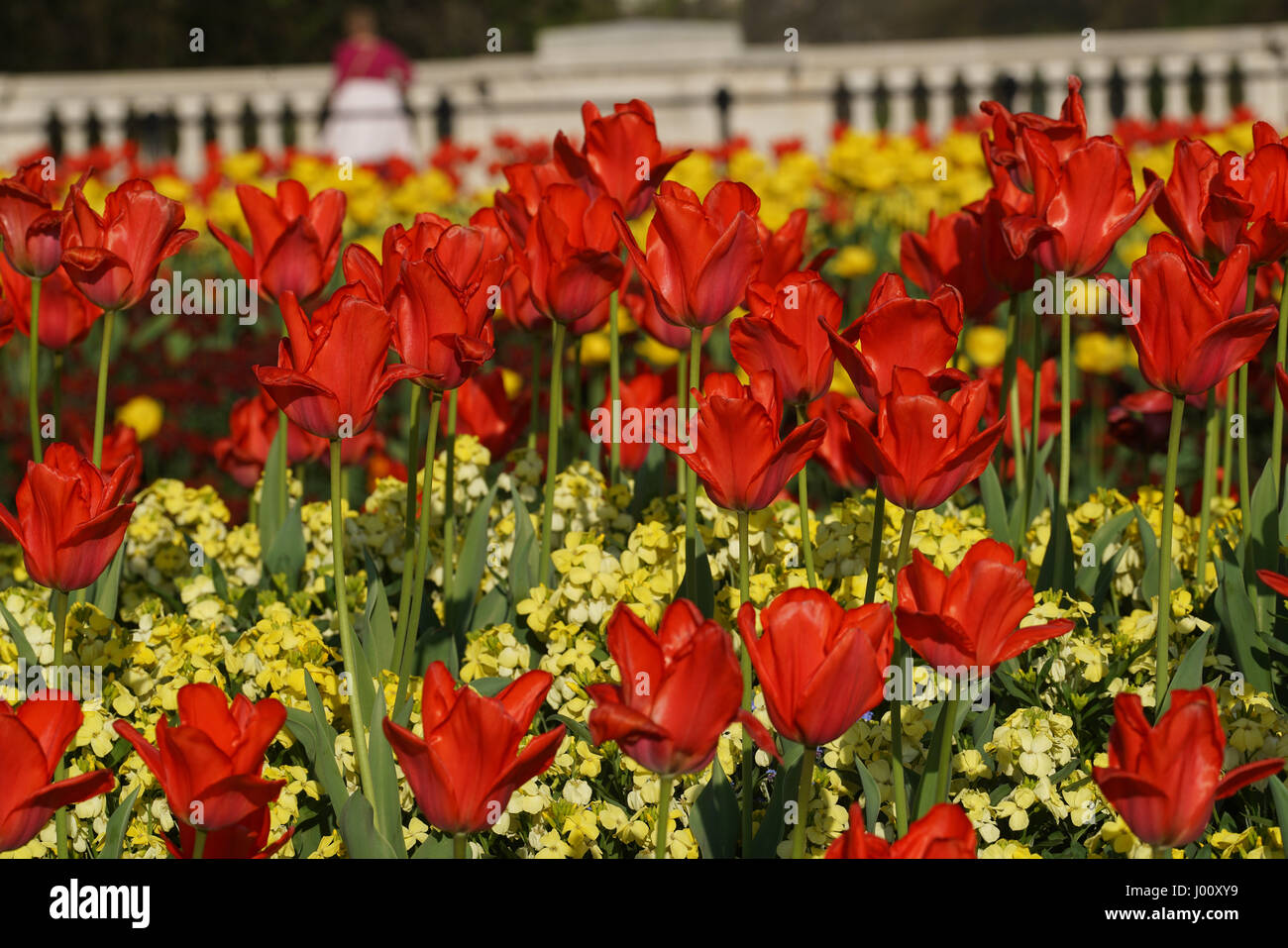 Green park, London, UK. 8th April. UK Weather: Spring full of people ...