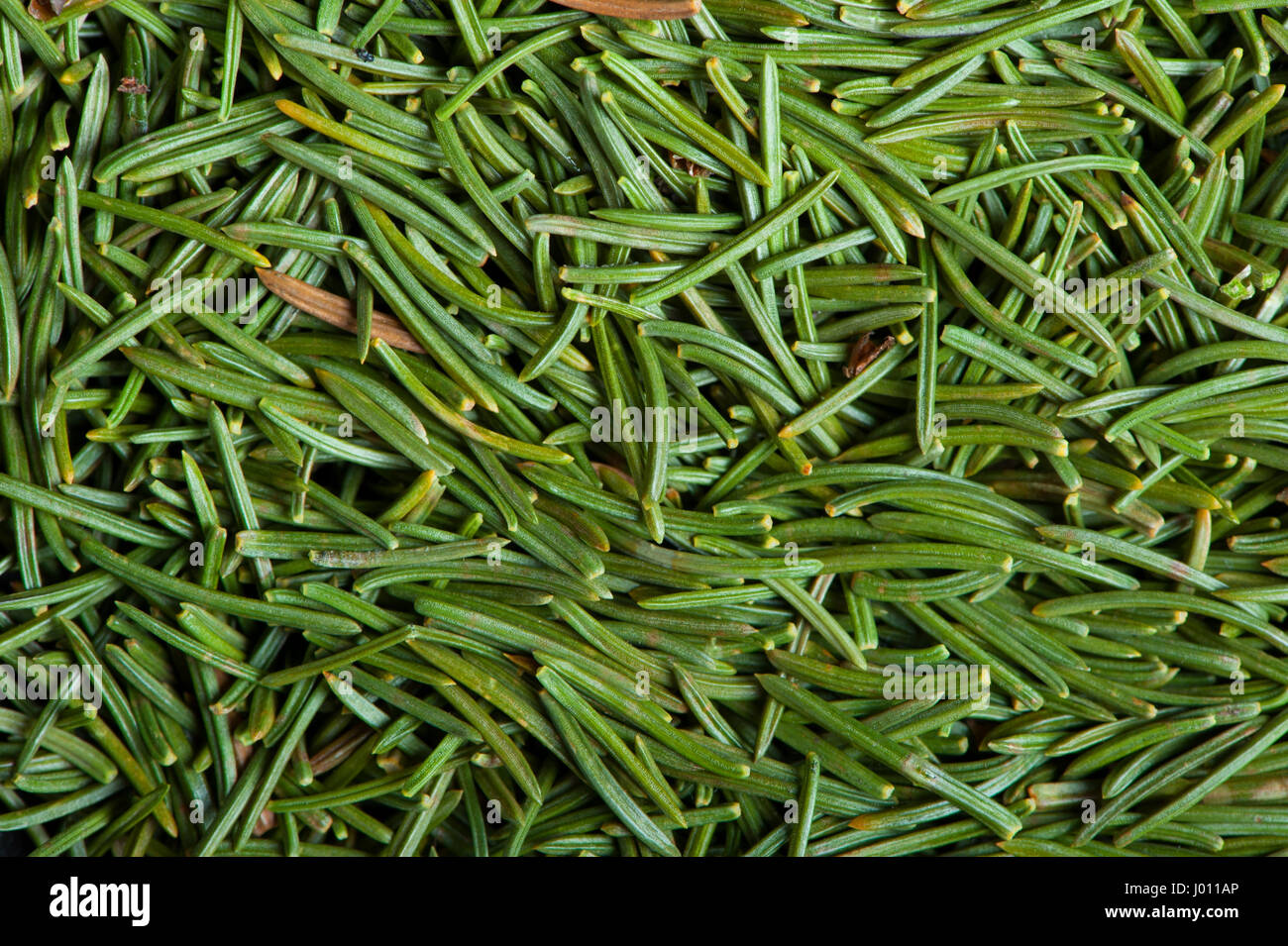 Christmas tree needles background Stock Photo - Alamy