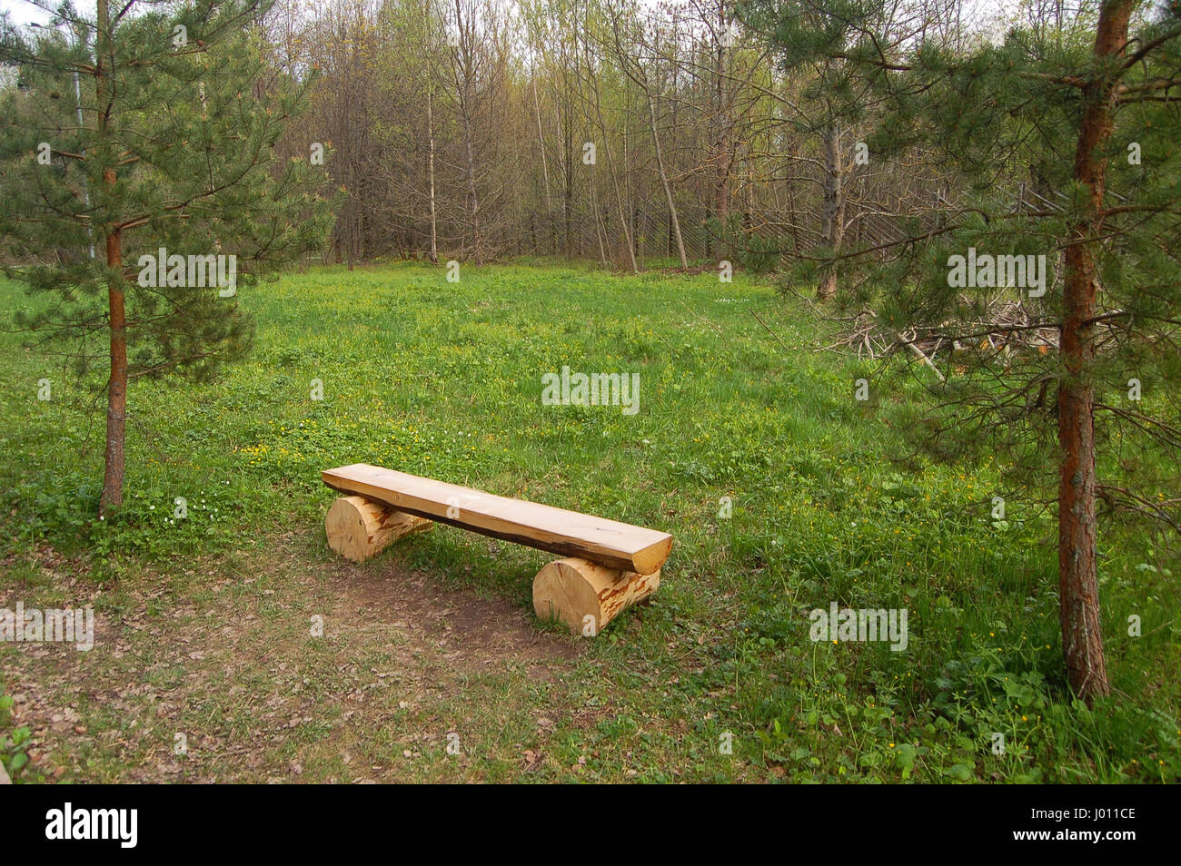 Log bench outdoors Stock Photo - Alamy