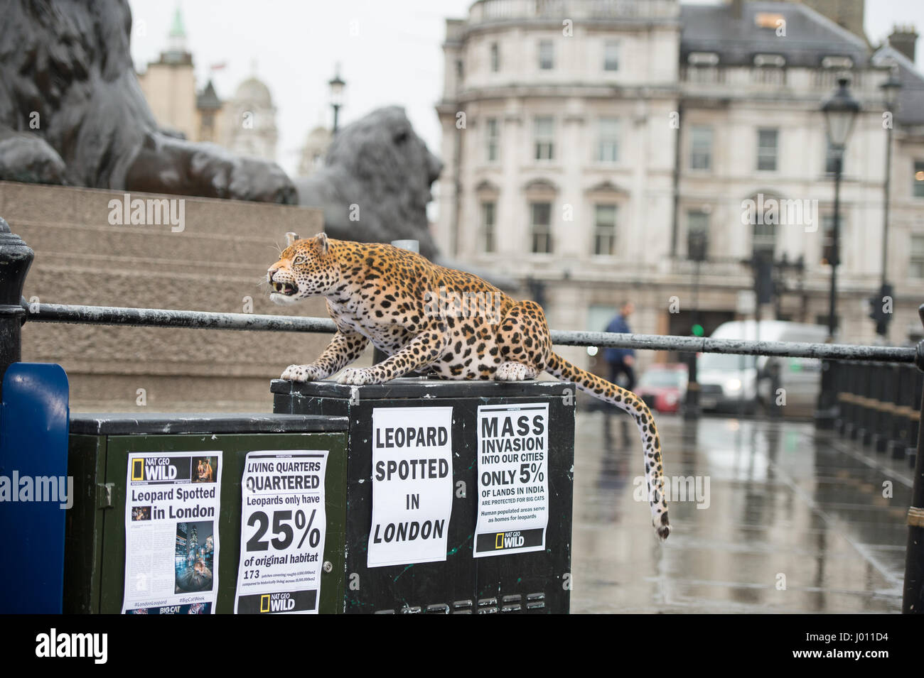 Nat Geo WILD unveils the world’s first hyper realistic animatronic ...