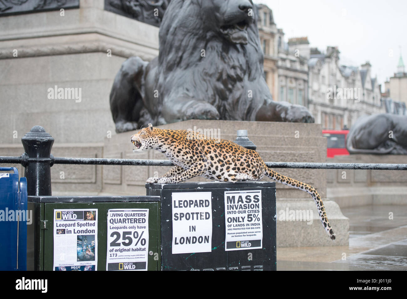 Nat Geo WILD unveils the world’s first hyper realistic animatronic ...